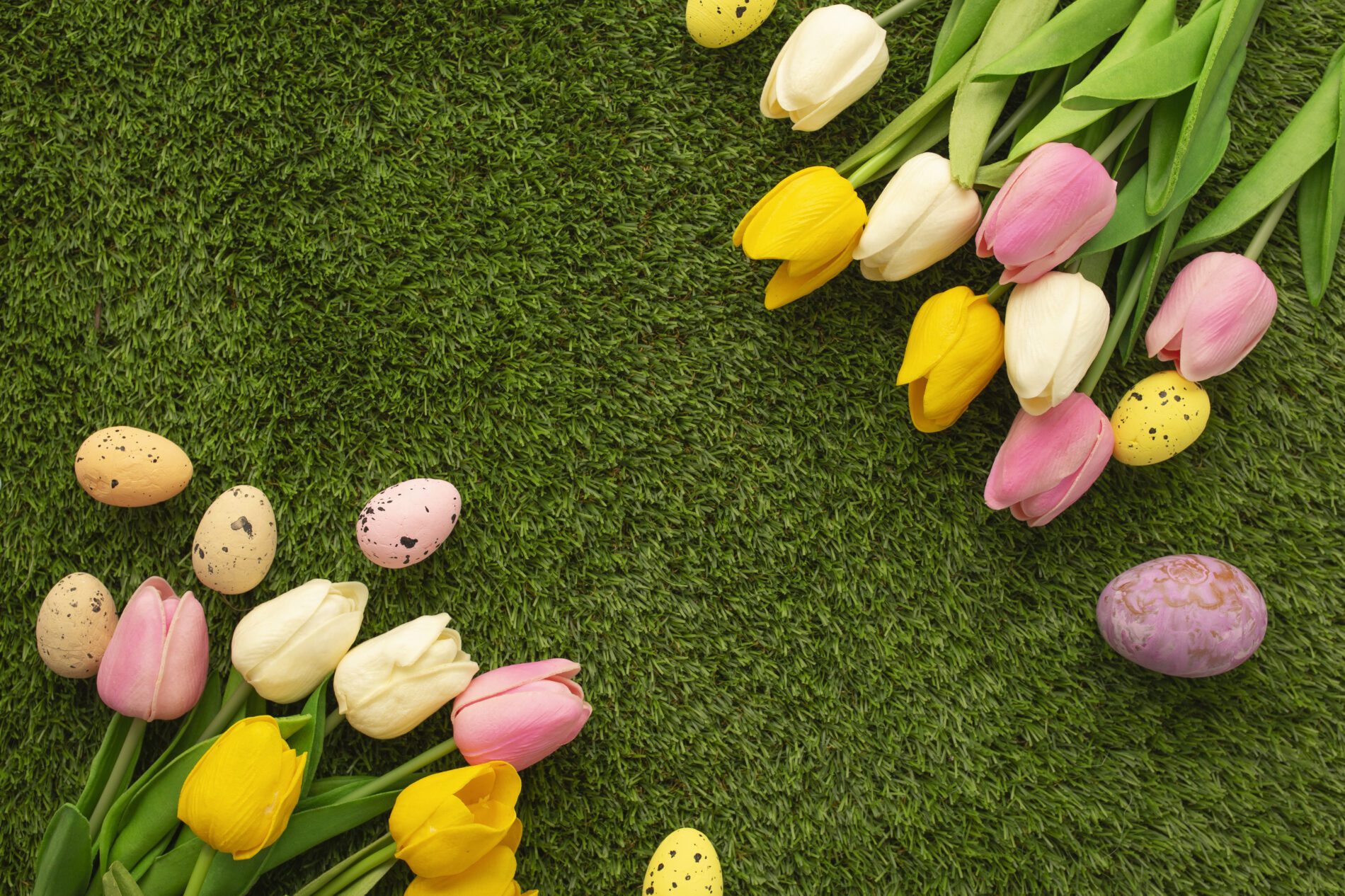 Getting Creative With Lawn Color - My Neighbor Services