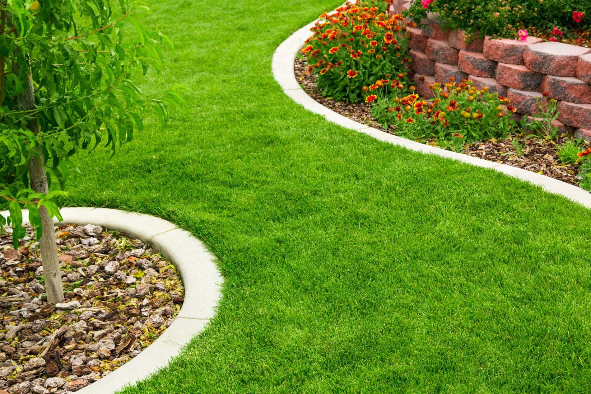 6 Amazing Lawn Tips For A Beautiful, Tidy And Healthy Lawn