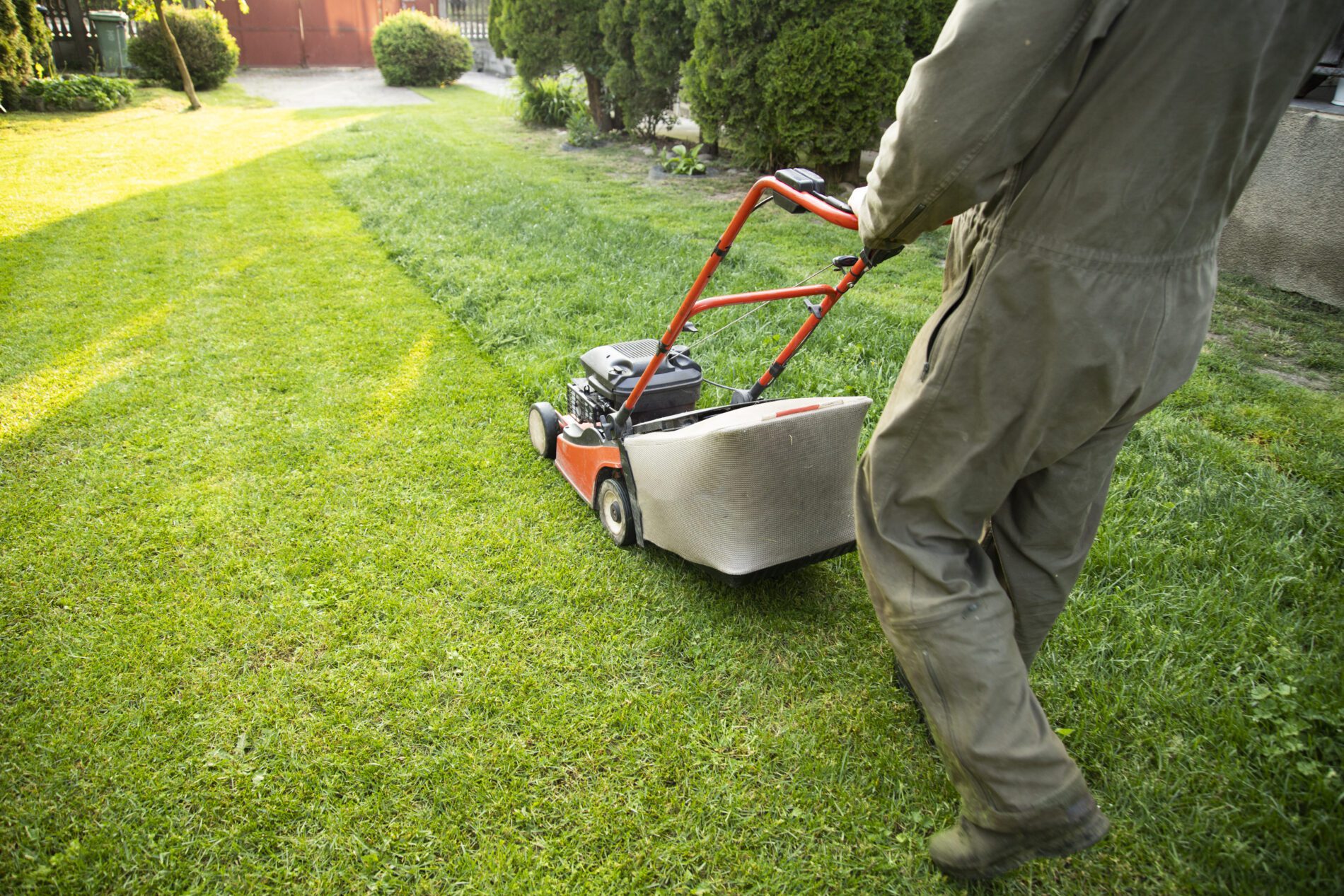 Best Lawn Care Services - My Neighbor Services