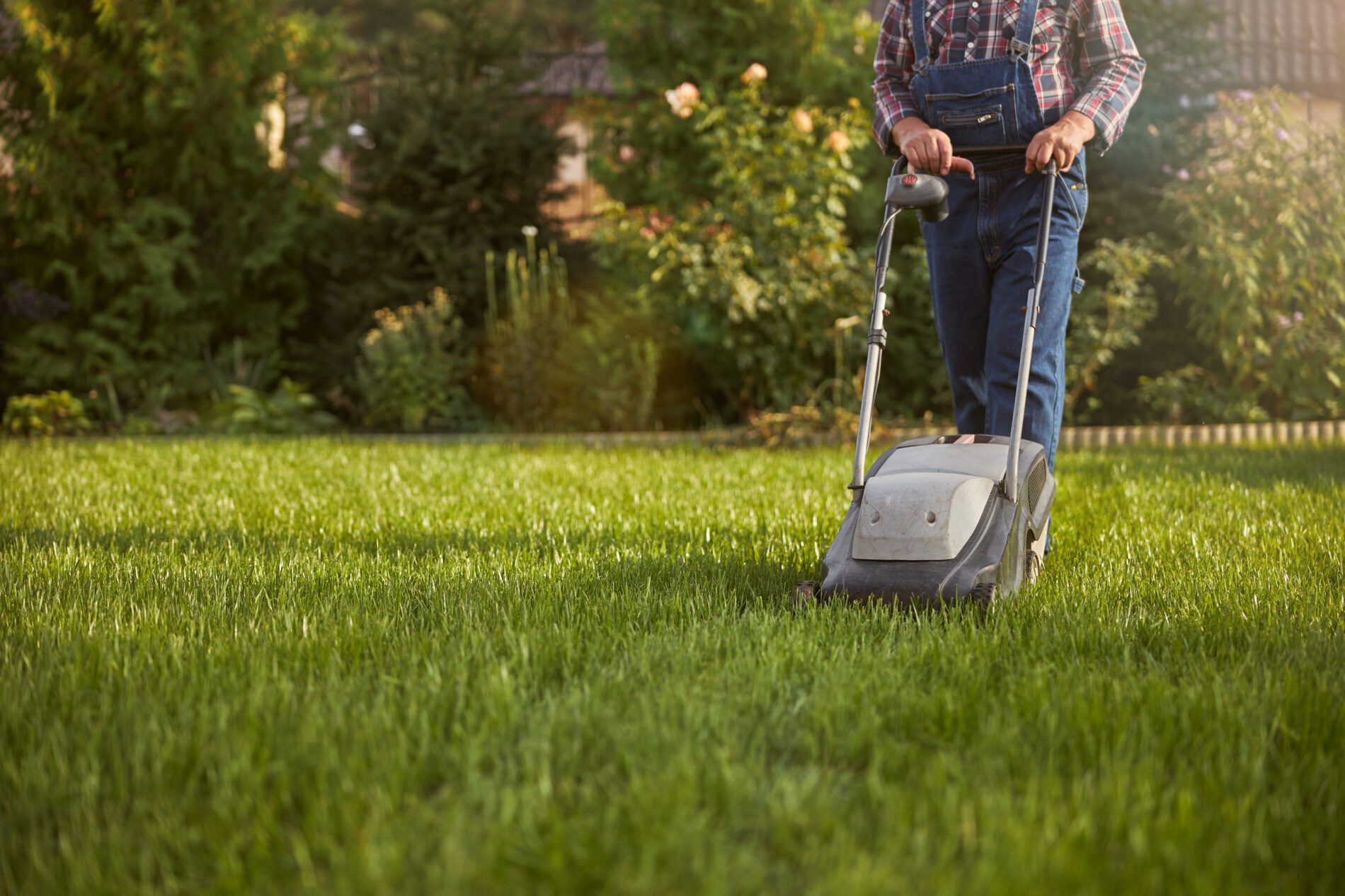 No.1 Affordable Lawn Care Services Plano TX- My Neighbor Services