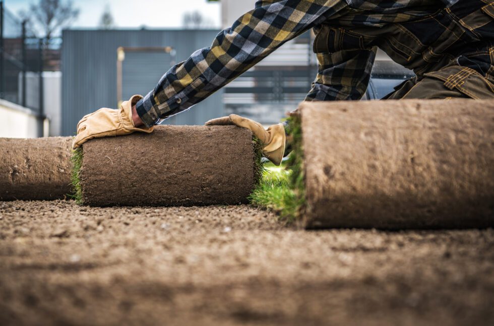 Best Allen Sod Installation - My Neighbor Services