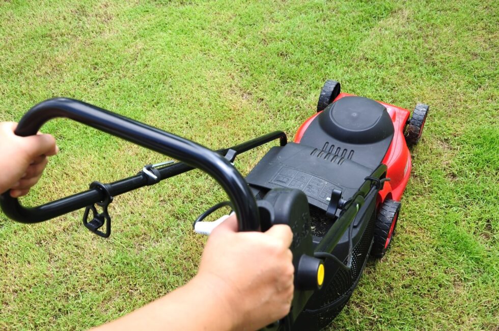 Best Lawn Care Service in Allen TX - My Neighbor Services