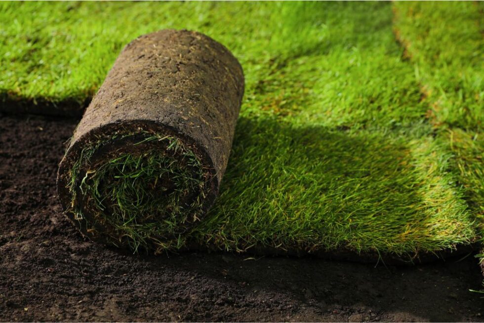No.1 Best Texas Commercial Sod Grass - My Neighbor Services