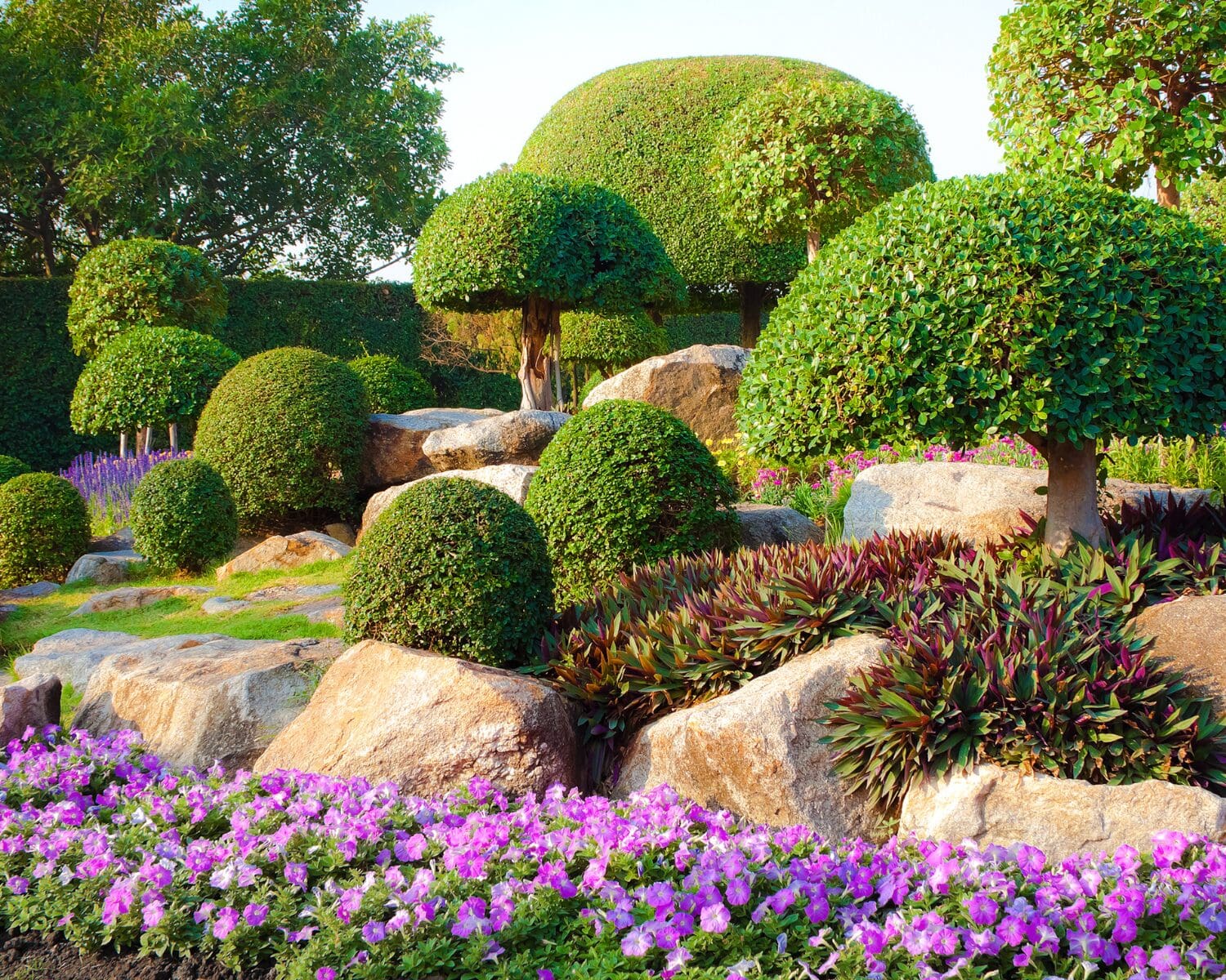 When to Plant Bushes: 10 Expert Approved Shrub Planting Tips for Success